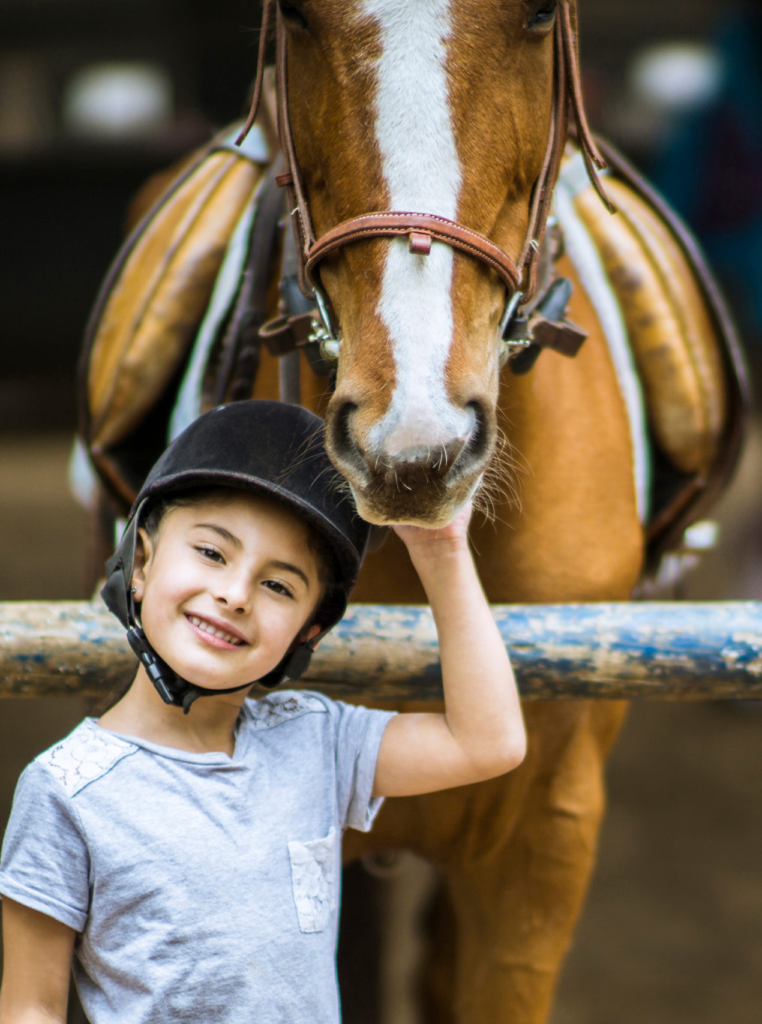 Horse Project Divisions – pc4hhorseleaders.com