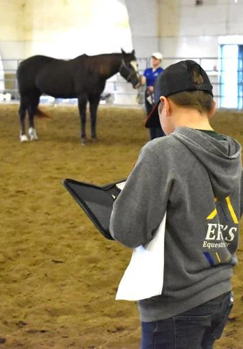 The Horse Judging Program – pc4hhorseleaders.com